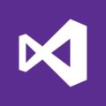 Visual studio browser launch settings | Daimto